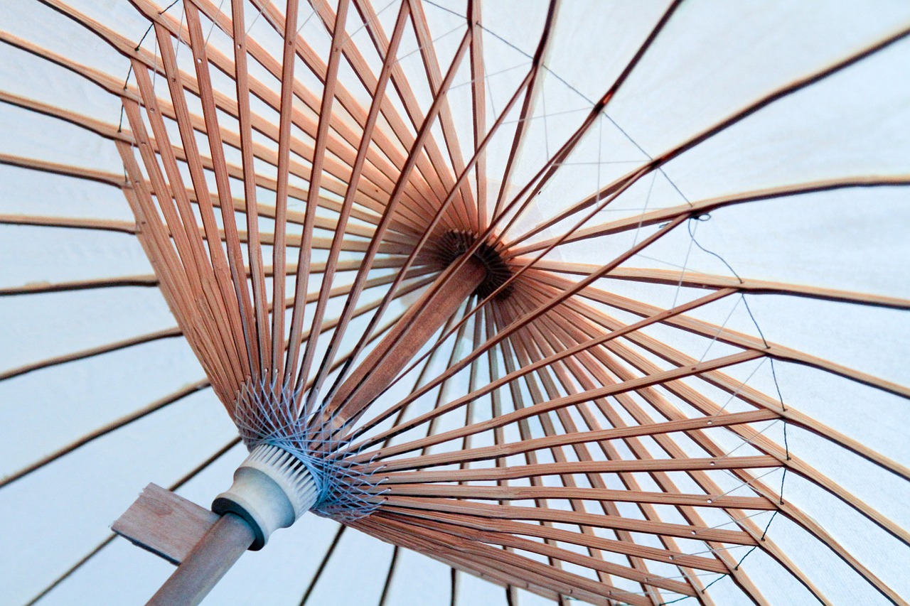 CANOPY STRUCTURE DESIGN ARCHITECTURE IDEAS IN CIVIL ENGINEERING canopy-structure-design-architecture-ideas-in-civil-engineering