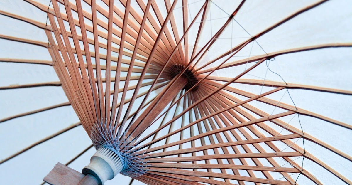 CANOPY STRUCTURE DESIGN ARCHITECTURE IDEAS IN CIVIL ENGINEERING canopy-structure-design-architecture-ideas-in-civil-engineering