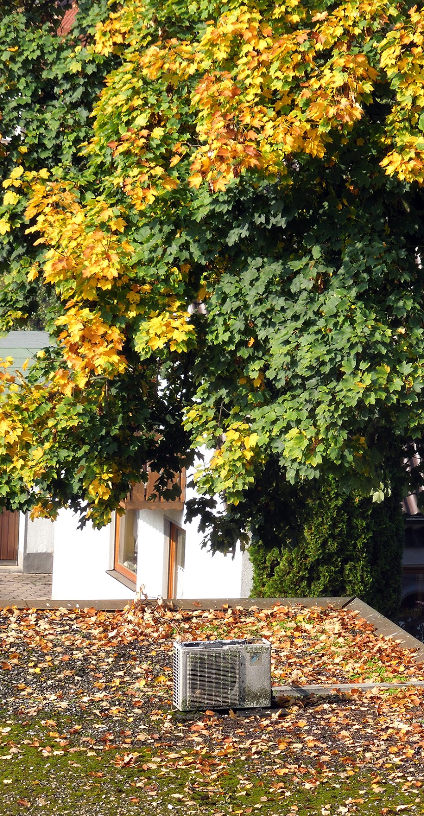 MASSIVE VOODOO: Tutorial: Visualizing Autumn