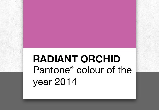 How to Use Radiant Orchid in Your Home #infographic - Visualistan