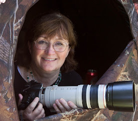 Laura's Birding Blog