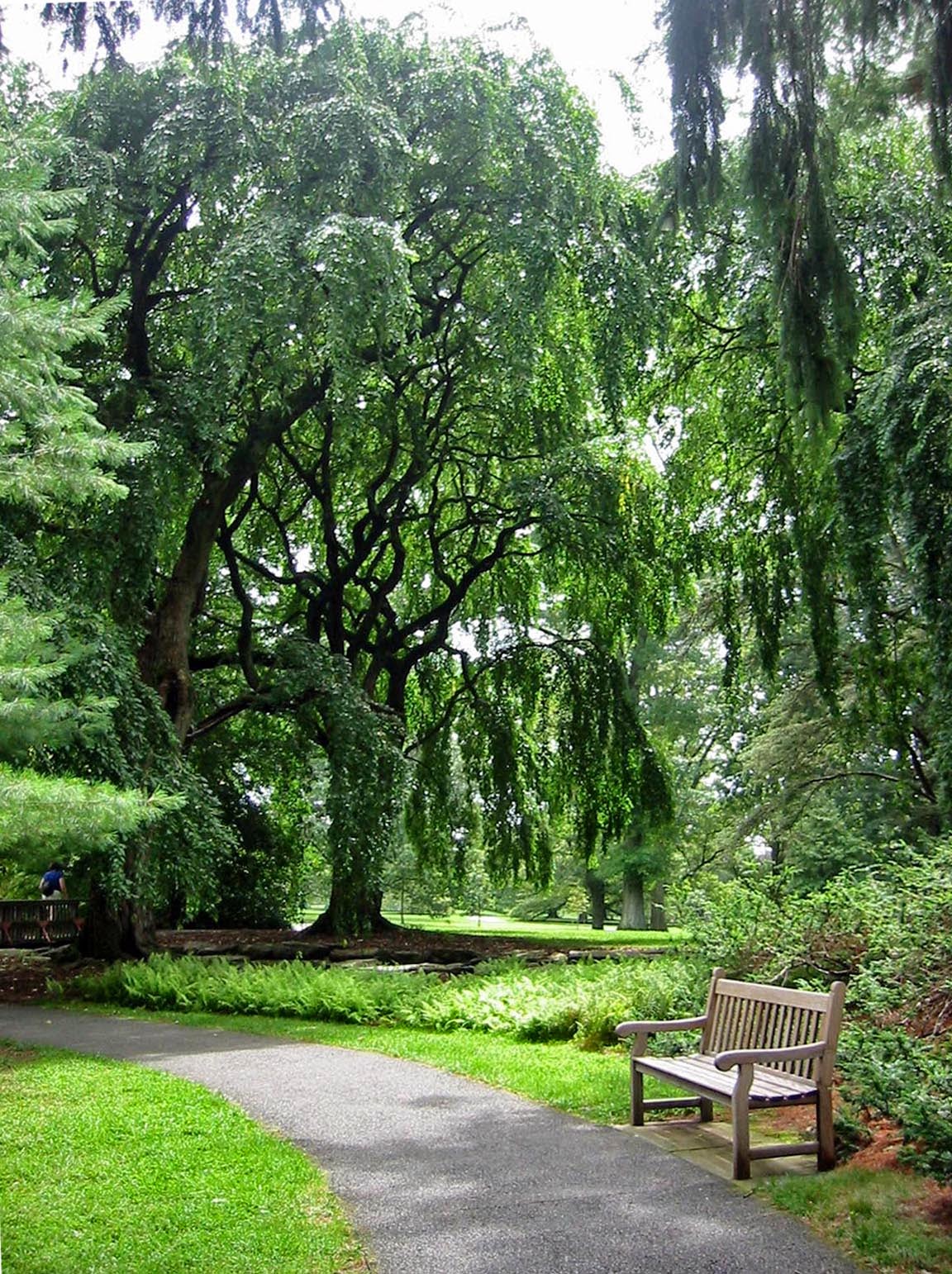 A Leafy Indulgence: Long Day At Longwood