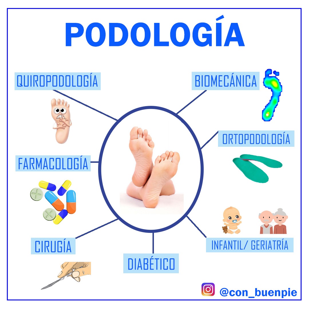 RAMAS DE LA PODOLOGÍA