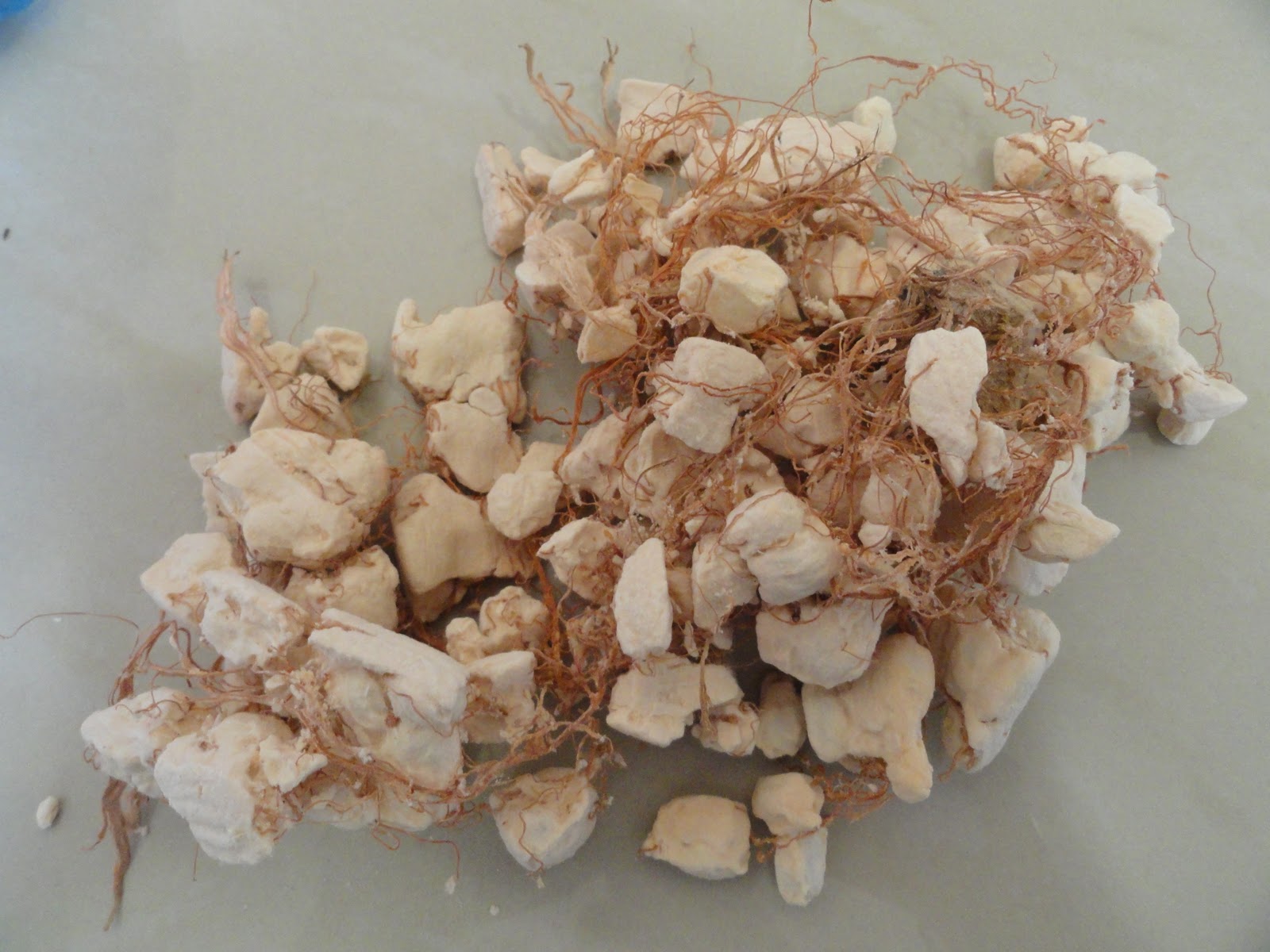 Cozinha Experimental: Caipirinha de Múcua (Mucurinha)