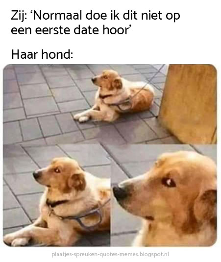 Plaatjes met grappige quotes en afbeeldingen met mooie spreuken om te ...