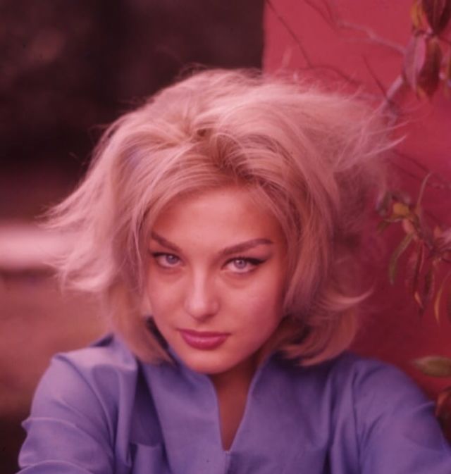 40 Glamorous Photos of Hélène Chanel in the 1960s ~ Vintage Everyday