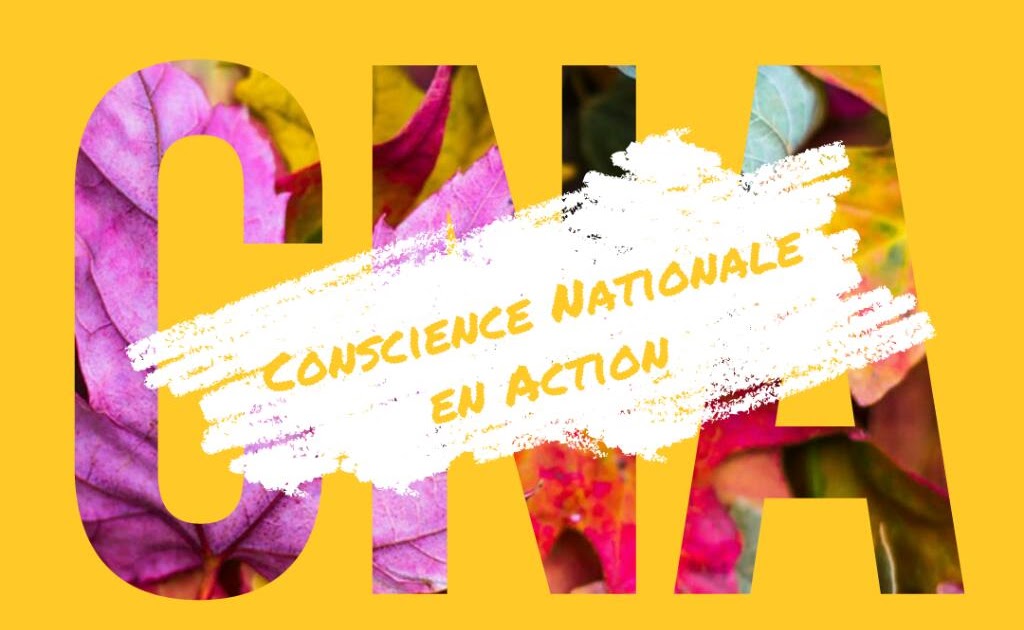 CONSCIENCE NATIONALE en ACTION: LES TROIS PILIERS DE LA CONSCIENCE ...