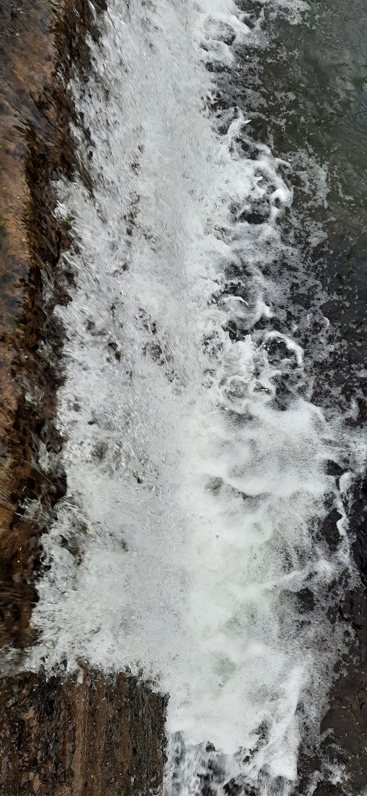 Sharad Pandhare's Educational Blog: Incredible Nature