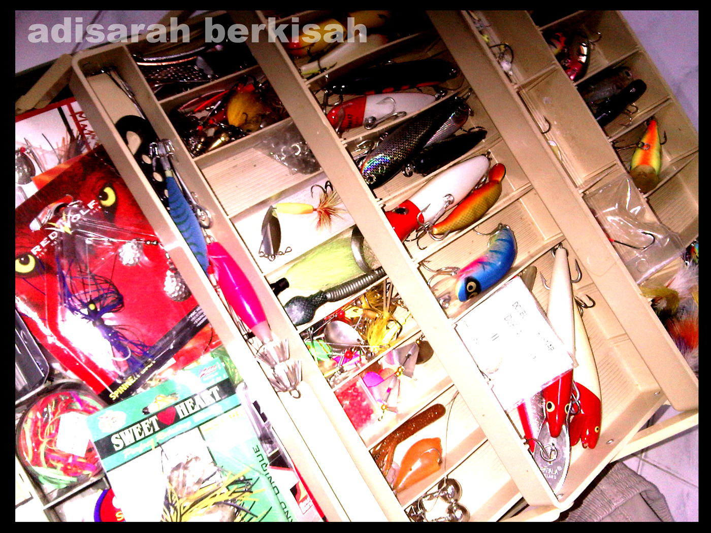 adisarah berkisah: Kenapa pergi memancing?