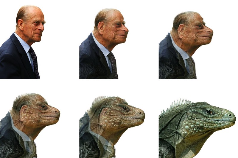 The new social learning blog