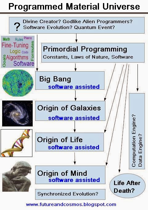 Future and Cosmos: The Theory of a Programmed Material Universe
