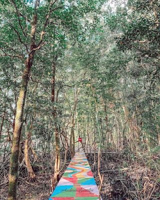 Pitas Bay View Sabah Malaysian Borneo (36 Photos)