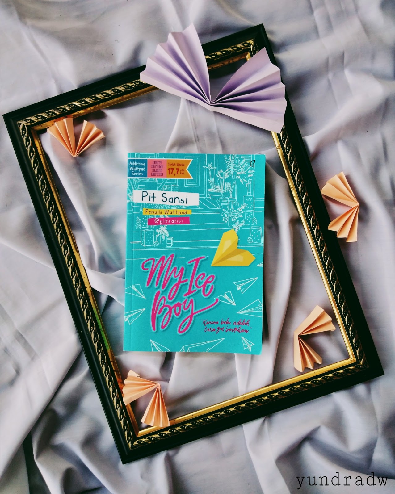 Review Novel My Ice Boy