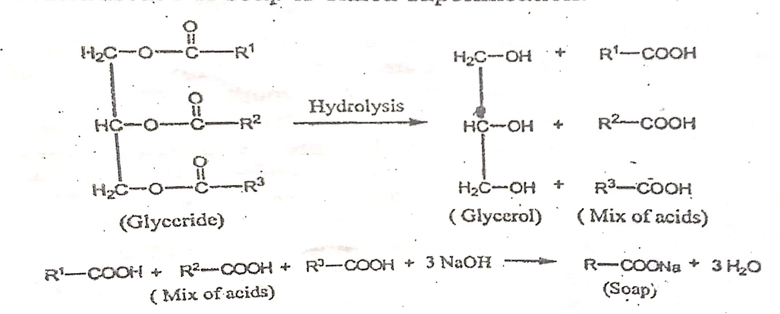 Generalstudies: Soap and saponification