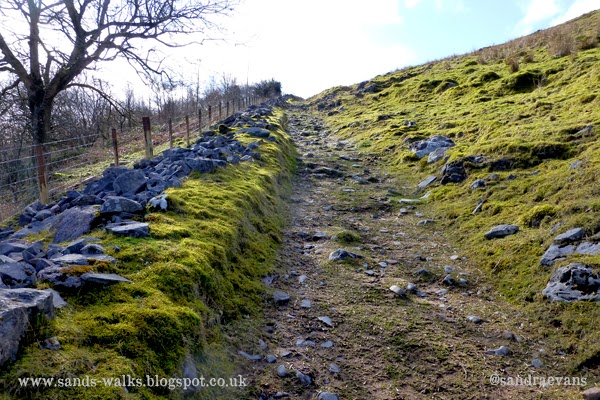 Sand's Nature Walks: Cribarth - Part 1 - 7 March 2014