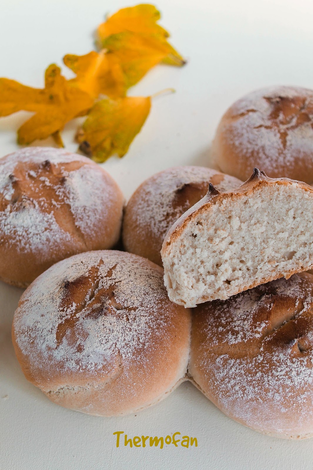 Flor de pan — Thermofan