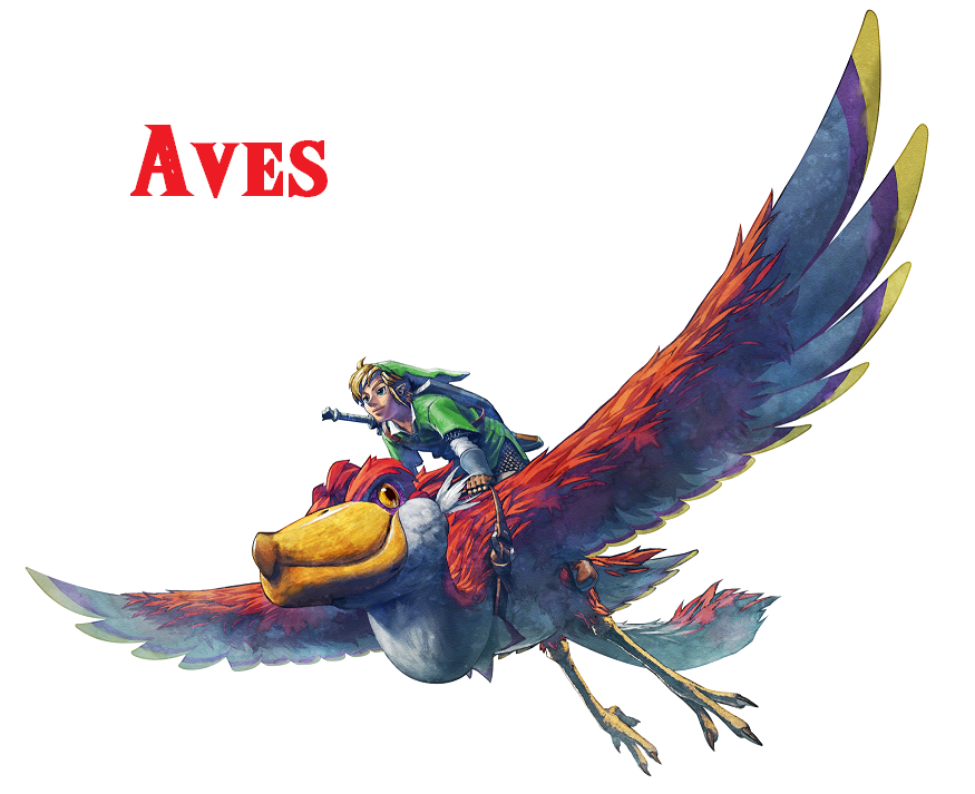 AnáliseMorte: The Legend of Zelda - Skyward Sword