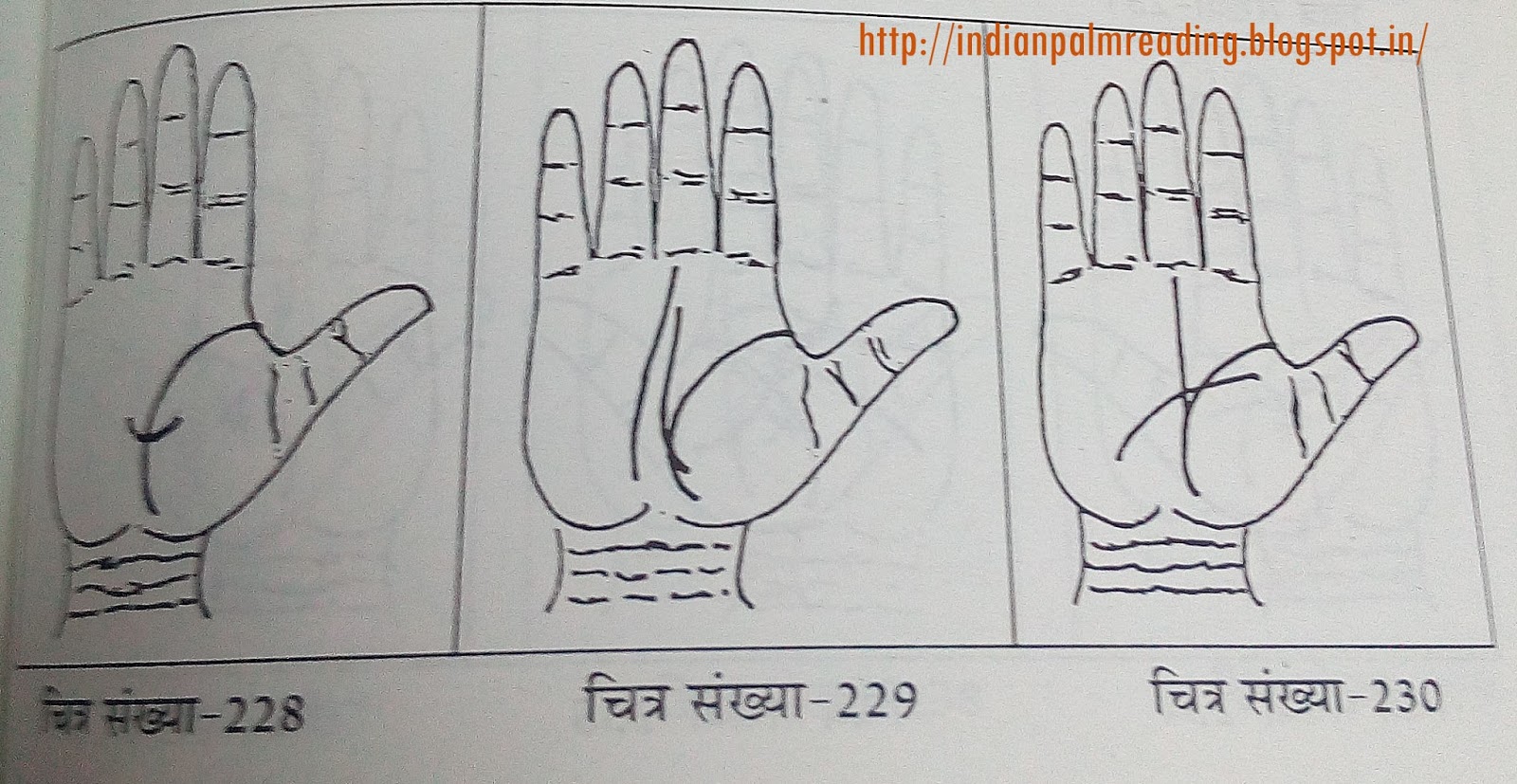 Prabhav Rekha Ka Arth | Hast Rekha Gyan ~ INDIAN PALM READING - HAST ...