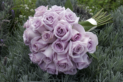 Purple Rose bridal bouquet with baby's breath- Graceland Florist ...