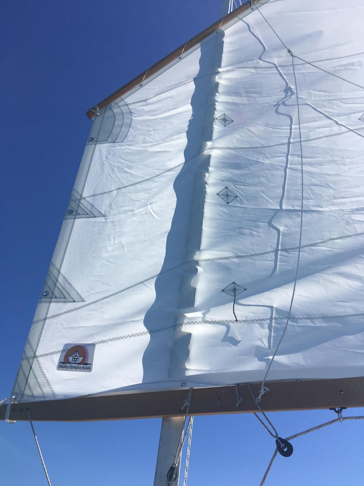 Michalak Robbsboat build: New professionally built sail from Really ...