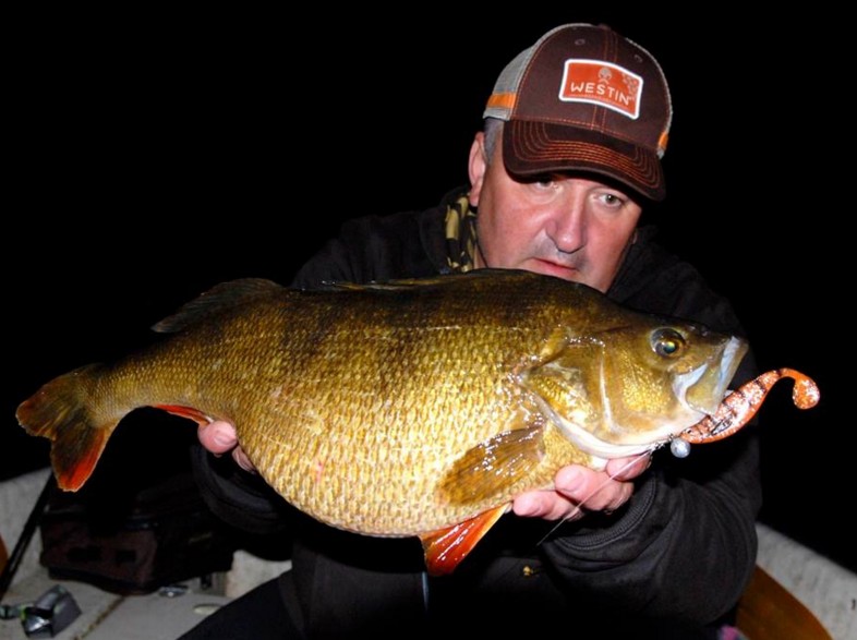 International Fishing News: SWEDEN: incredible catch a perch of 3.1 kilos!
