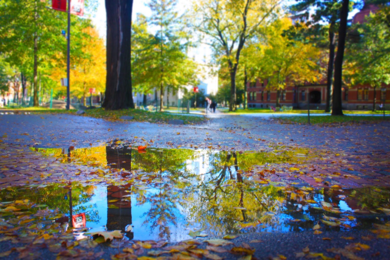 KenKen Photoblog: Reflections & Puddles