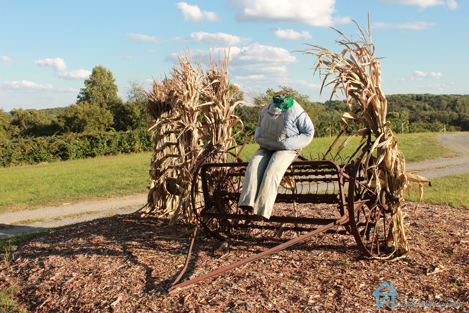 Let's Go to the Farm! - Remodelando la Casa