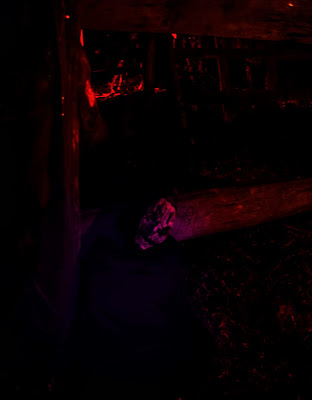 Something wicKED this way comes....: Sneak Peek into The Backwoods ...