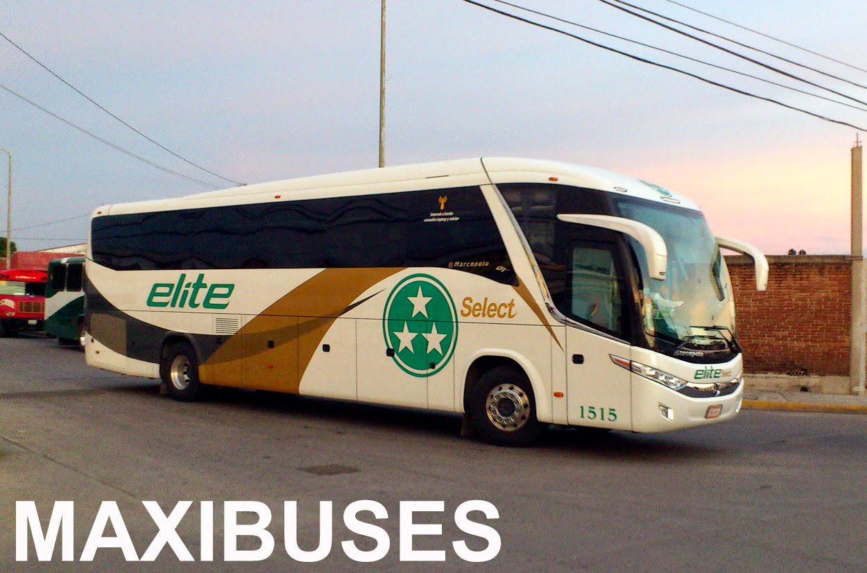 MAXIBUSES: ELITE SELECT