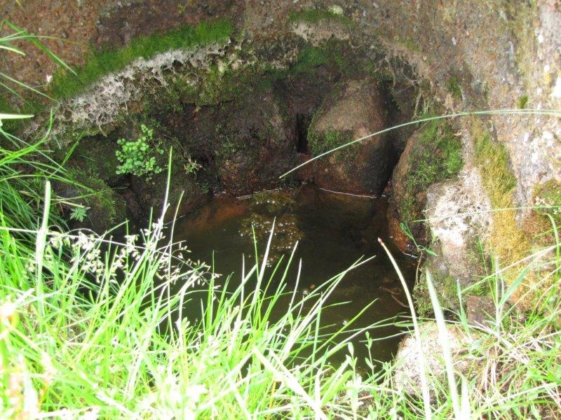 Grey Hen's Well: The Grey Hen's Well