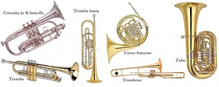 M'innamoravo di tutti: Musicisti, razza variegata. [conoscerli per ...