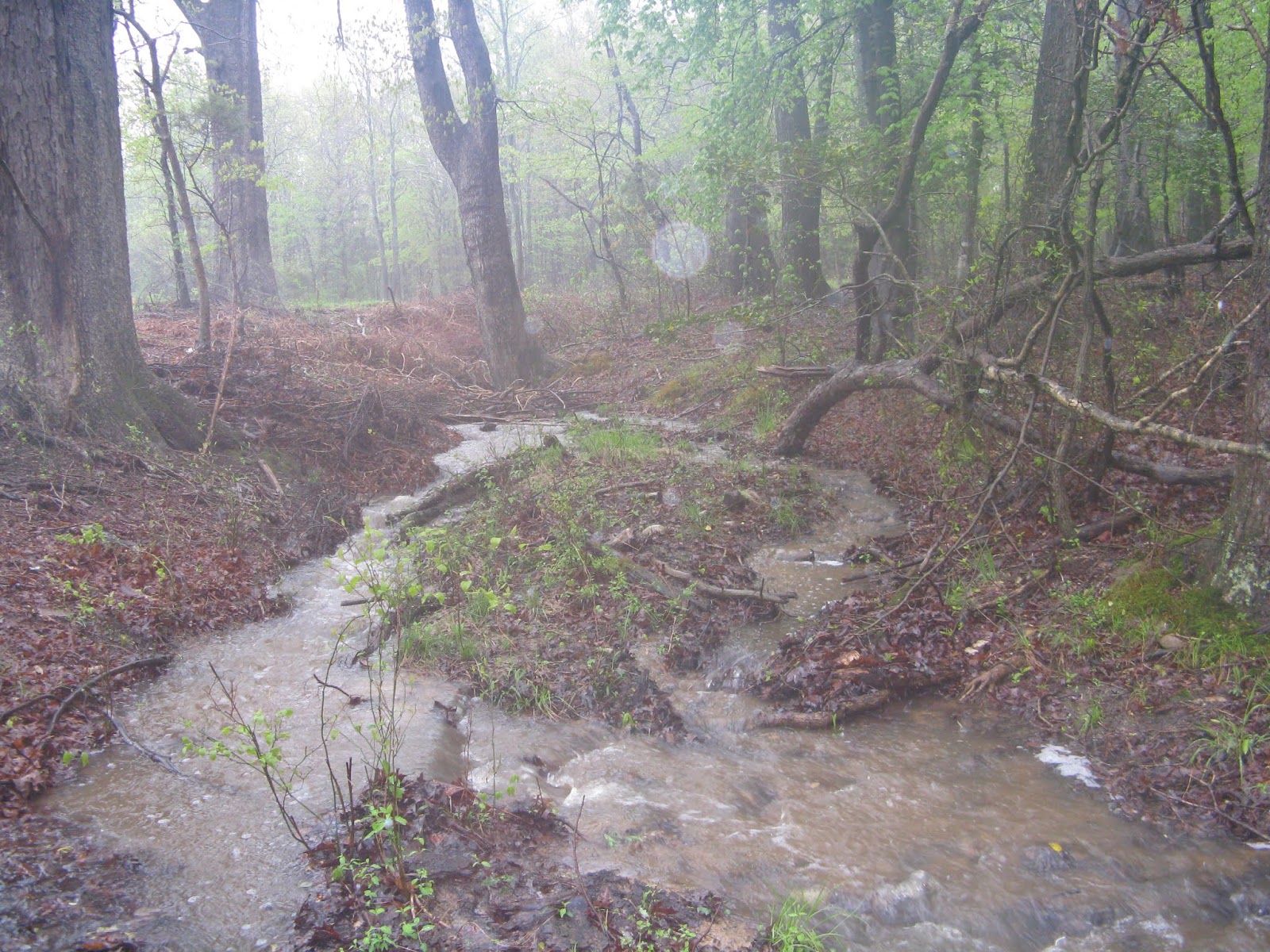 Patricia Ceglia - Ecological Design & Education: Sheet-flow Erosion ...