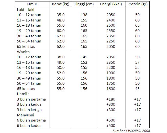 Angka Kecukupan GIZI yang Dianjurkan dan Masalah GIZI di Indonesia ...