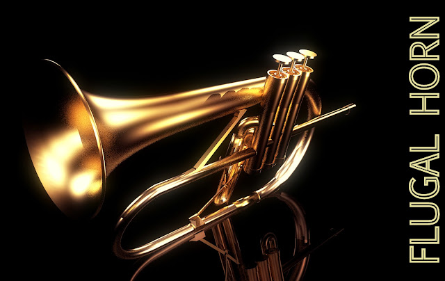 Western Musical Wind Instruments: Visual Presentation