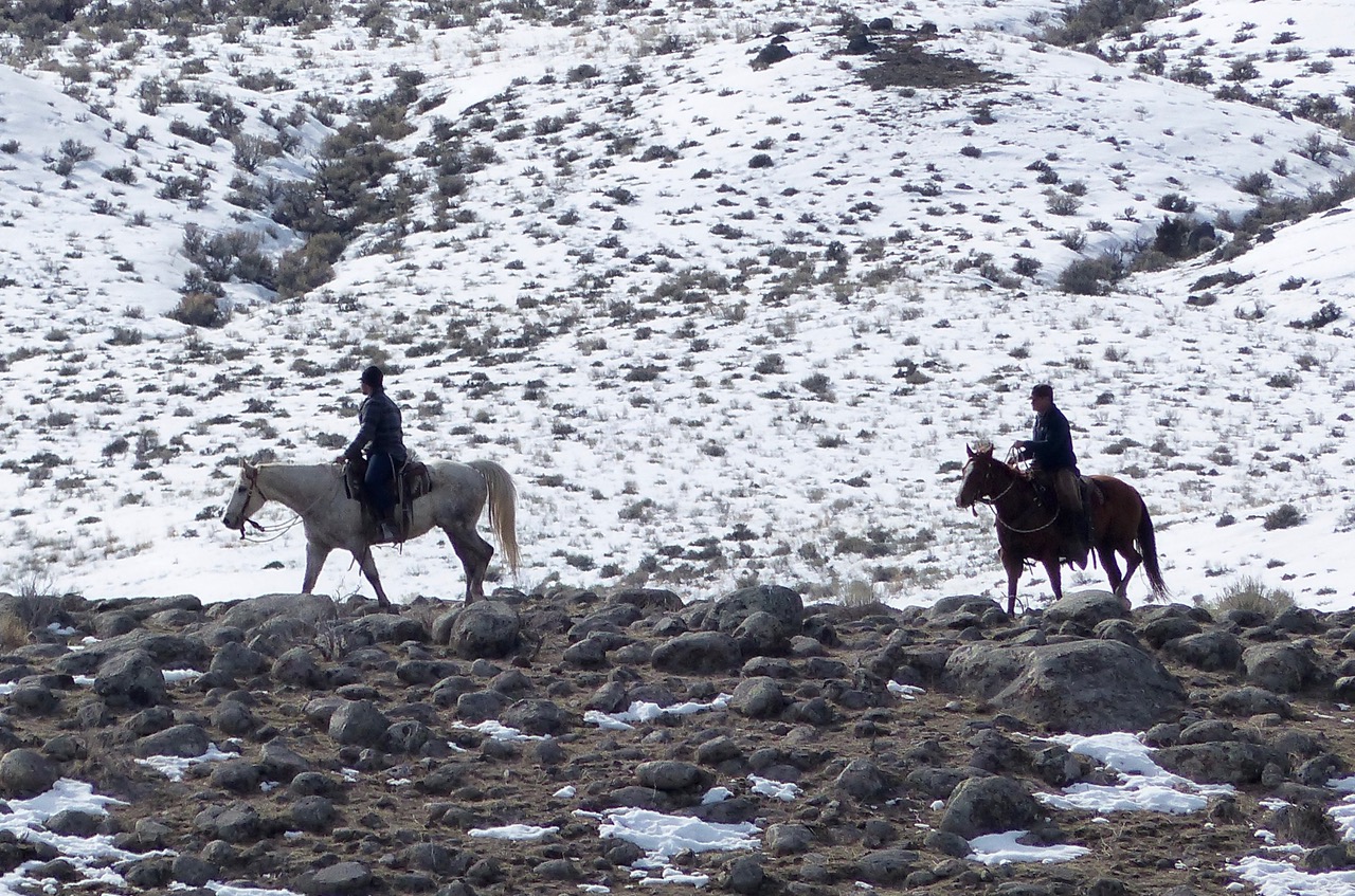 Rick Lamplugh: A Day in the Yellowstone Bison Migration: A Photo Essay