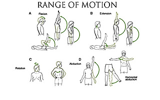 Vira Bunga Agustin: PROSEDUR RANGE OF MOTION (ROM)