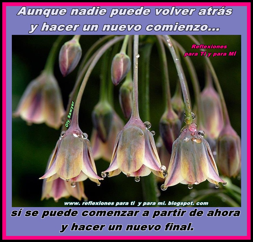 Reflexiones para TI y para MÍ: + Aunque nadie puede volver atrás y ...