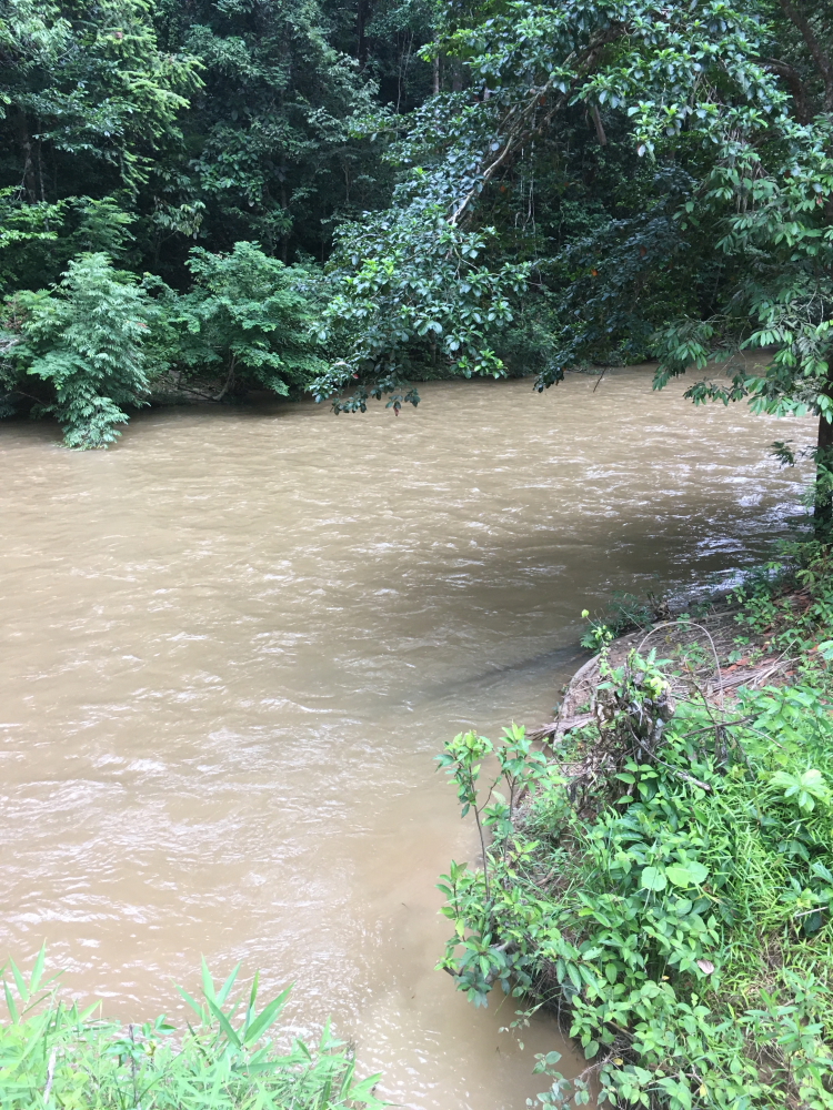 my side with travelogue ツ: 4x4 :: jul20 : rintis route brig