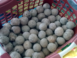 EM-1: EM Mudballs