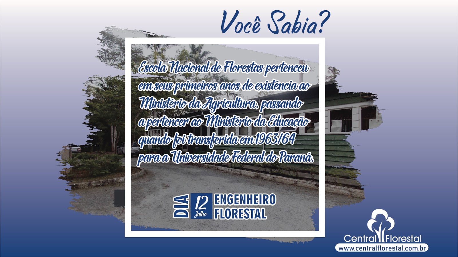 A engenharia florestal