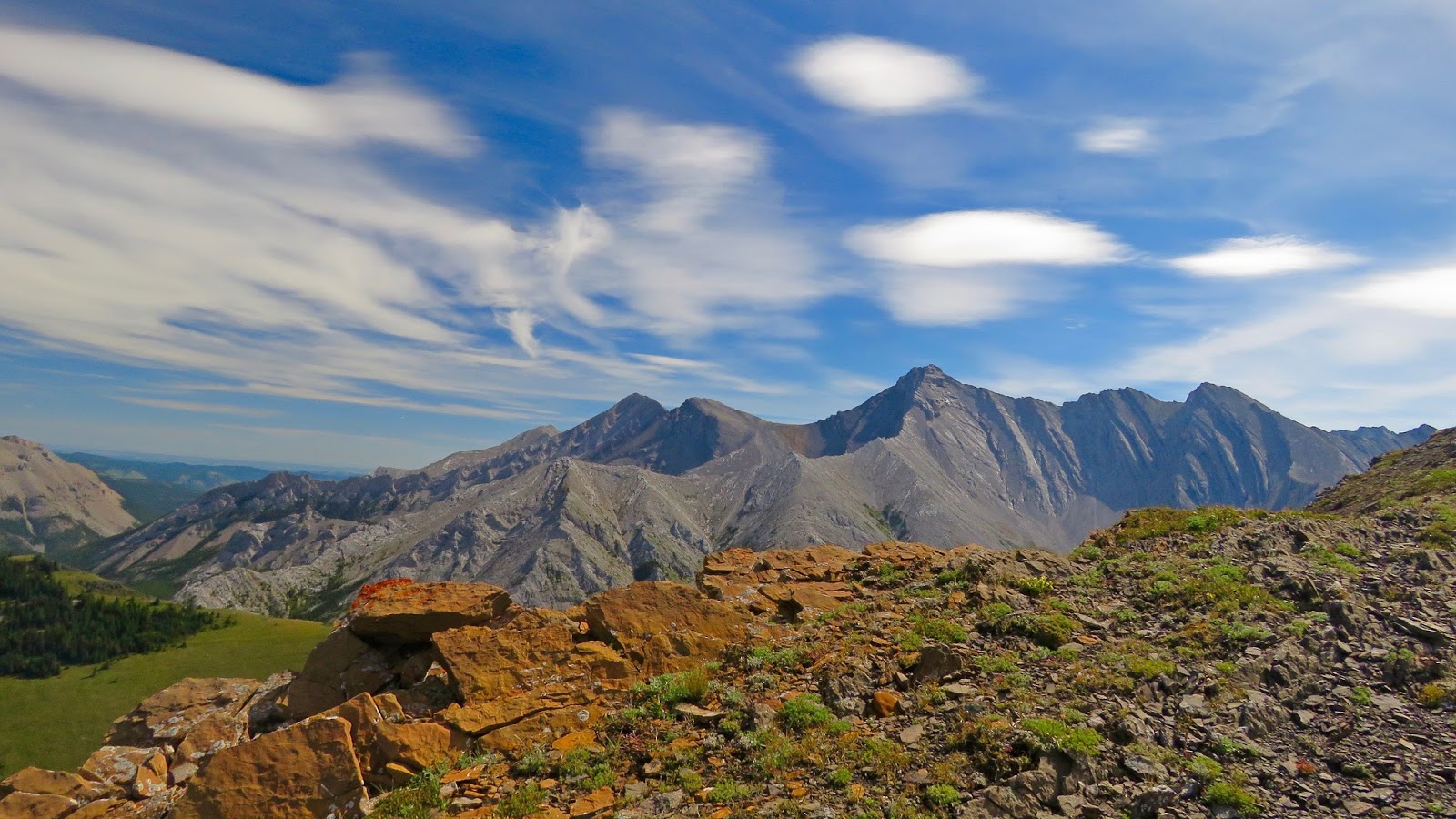 Making Waves: Mist Ridge prettily packed