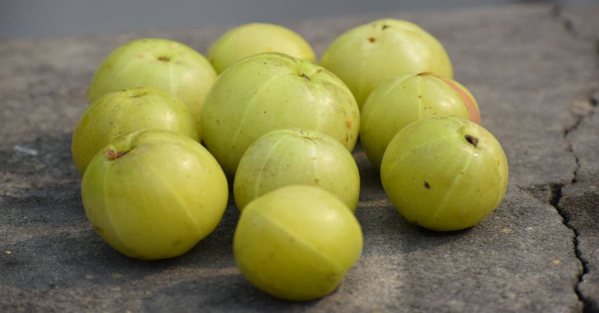अमला खाएर पानी पिउँदा किन मुख गुलियो हुन्छ? Drinking water after eating ...