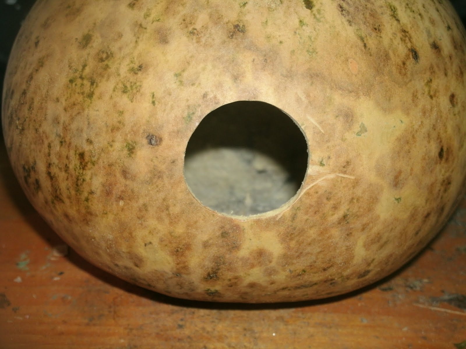 The Craftivist: Cleaning the Inside of a Gourd
