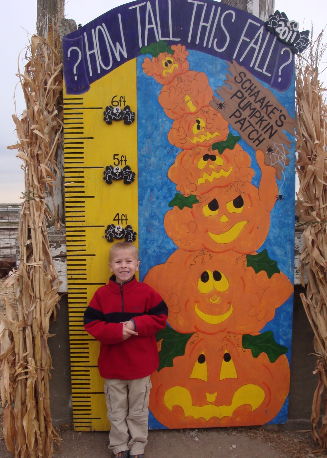 Musings of a Brood Mama: The post that launched a thousand pictures