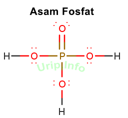 Cara Menggambar Struktur Lewis Khusus Asam-asam Oksi - Urip dot Info