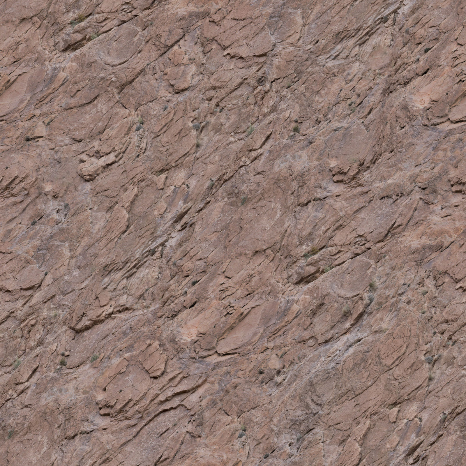 Seamless Rock Face Texture