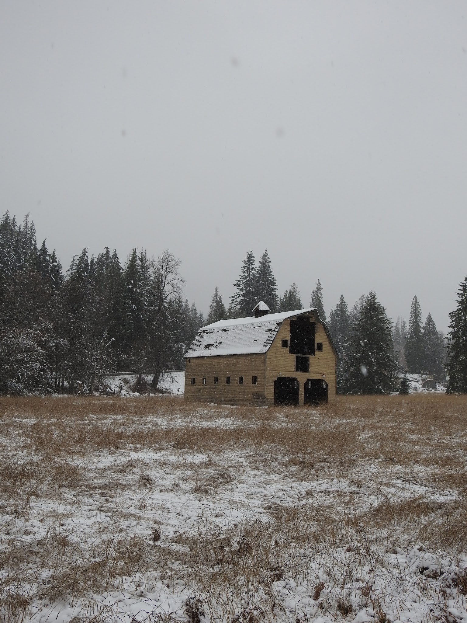 The view from here: Barn in Harrop, BC - November 13, 2020