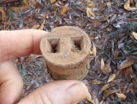 5 Acres & A Dream: Forest Garden: Poking Around in the Dirt