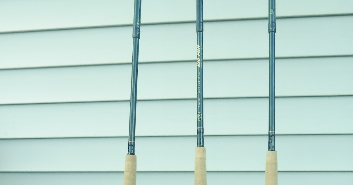 THE FISHING NEWS: TFD BIG FISH RODS