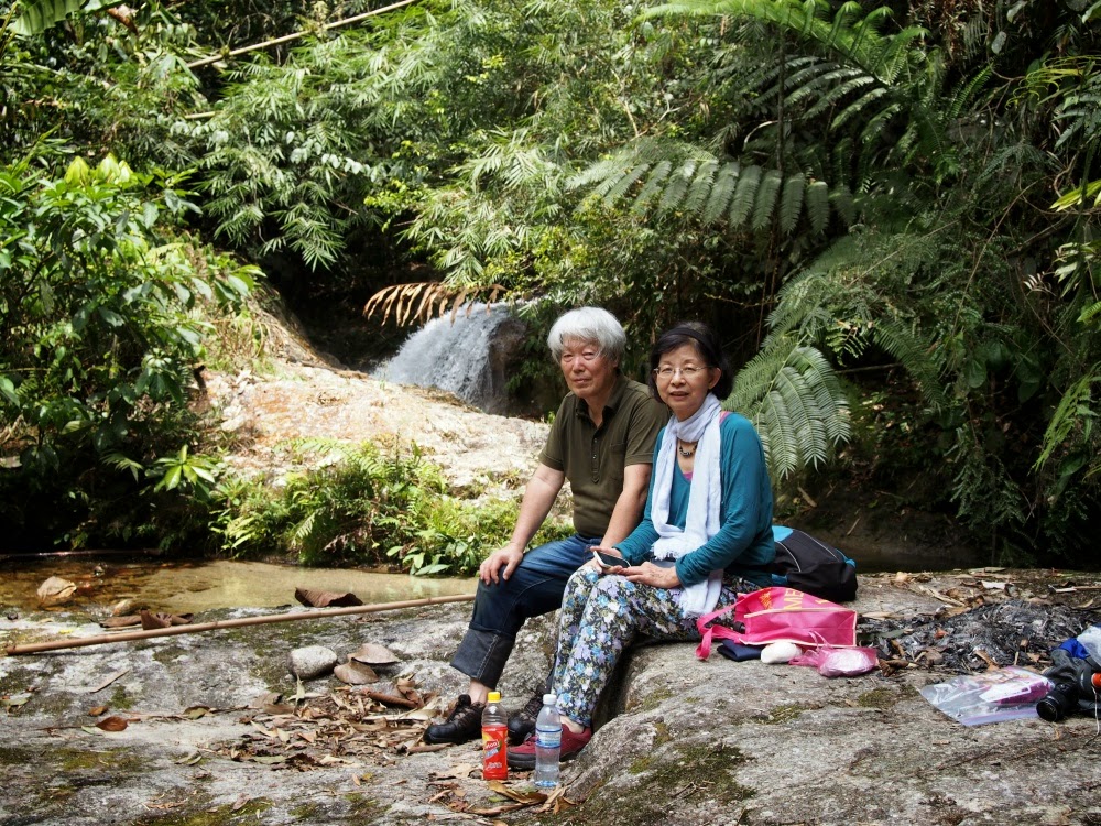 キャメロン サービス / CAMERON SERVICE : 29. 写真入りゲストブック、コメントと楽しい写真集。